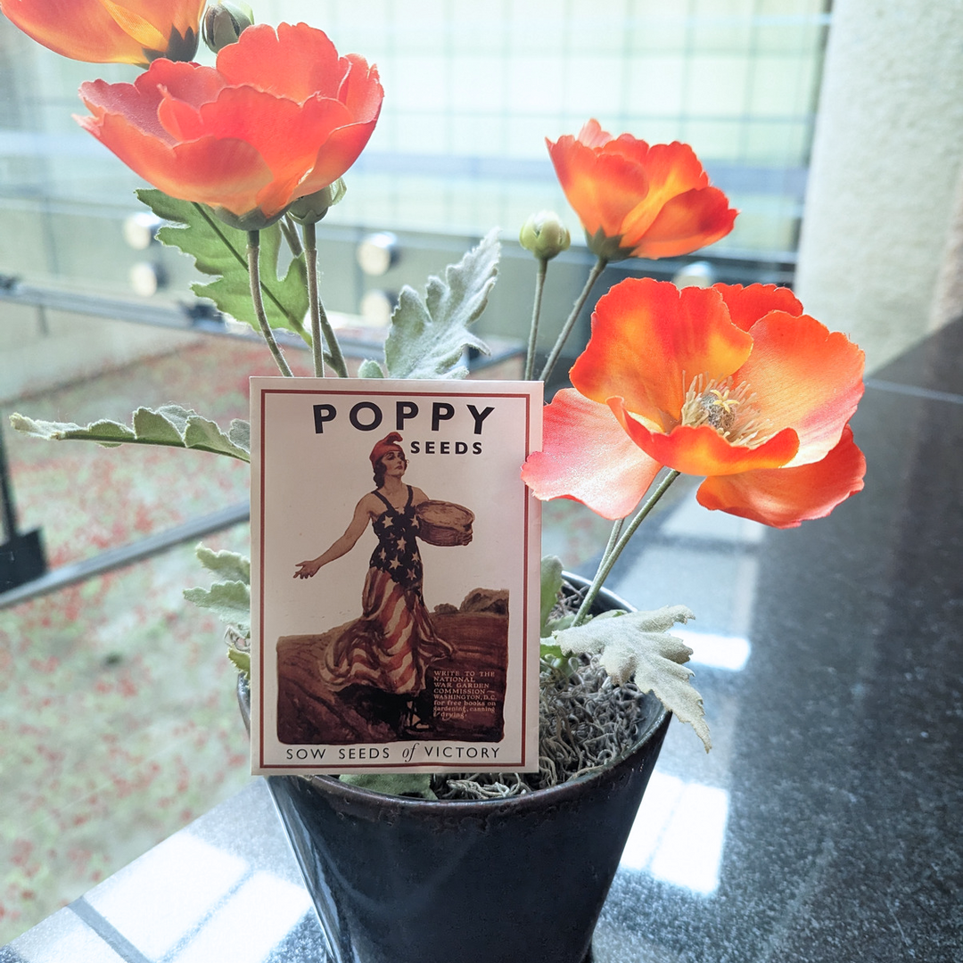 Poppies – National WWI Museum and Memorial